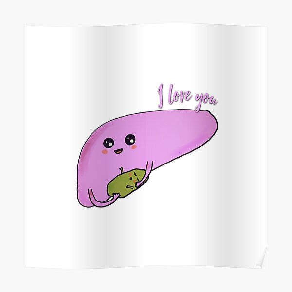 "Cute liver and gallbladder " Poster by Tamm-art | Redbubble