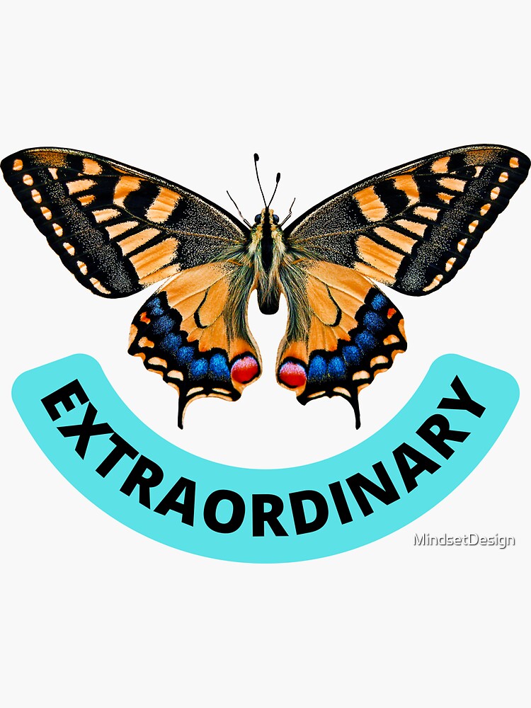 "Extraordinary" Sticker by MindsetDesign | Redbubble