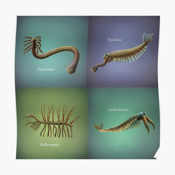 "Cambrian Animals: Facivermis, Opabinia, Anomalocaris, Hallucigenia ...
