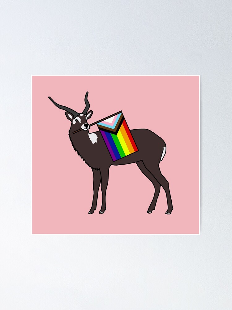 "Lechwe with Rainbow Pride Flag" Poster for Sale by taylorrowan | Redbubble