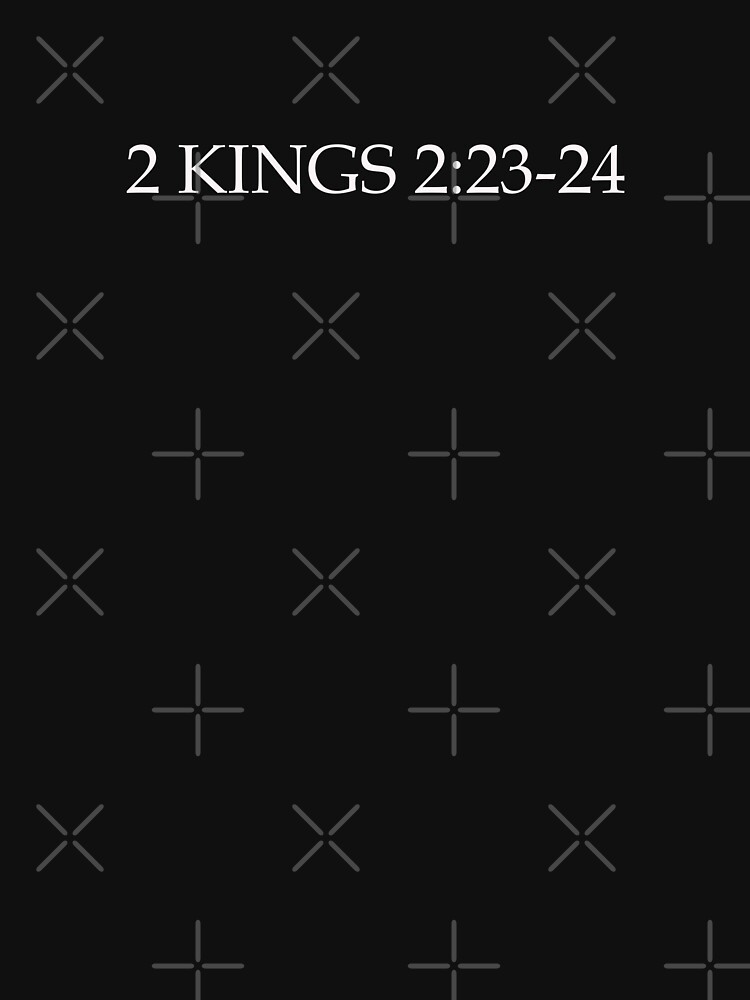  2 Kings 2 23 24 T shirt By GnomeEnthusiast Redbubble
