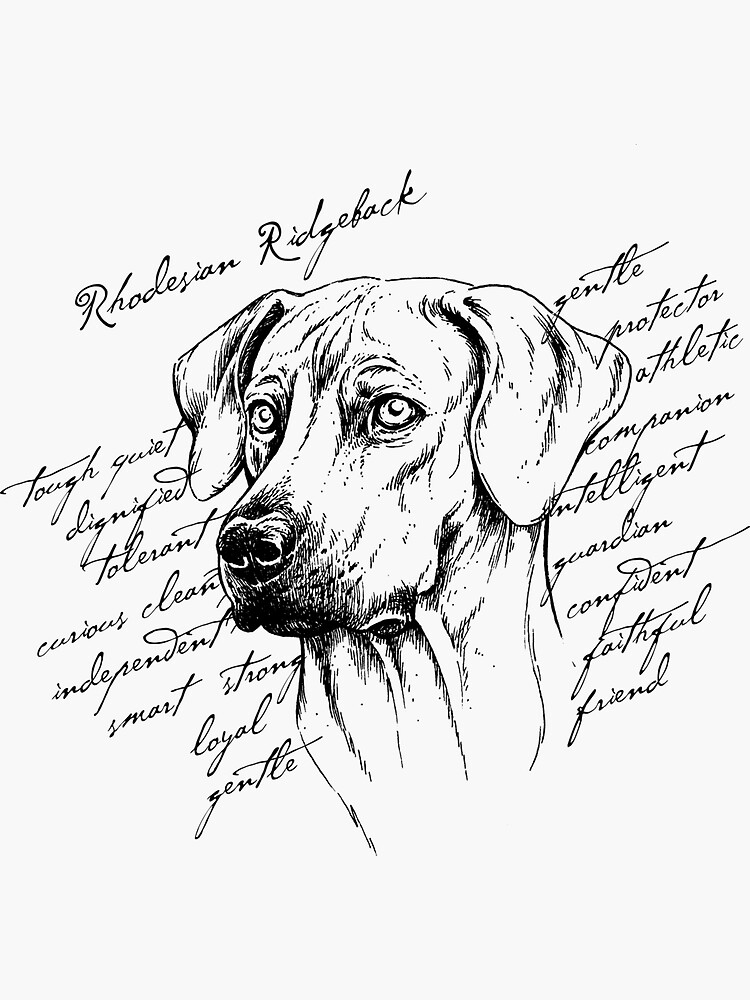 "Rhodesian Ridgeback" Sticker for Sale by Motivburg | Redbubble