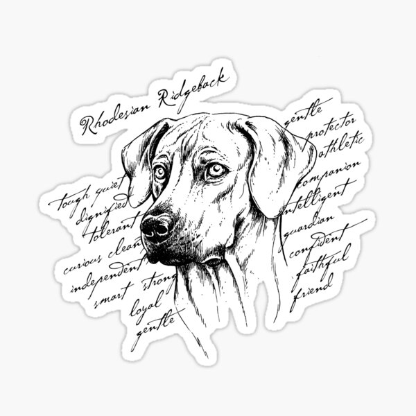 "Rhodesian Ridgeback" Sticker for Sale by Motivburg | Redbubble