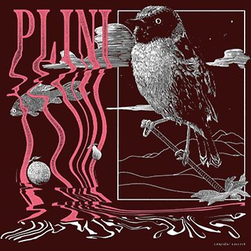 "Plini Premium" Sticker for Sale by Herachf | Redbubble