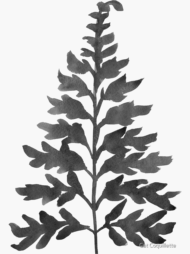 "Black Fern" Sticker for Sale by catcoq | Redbubble