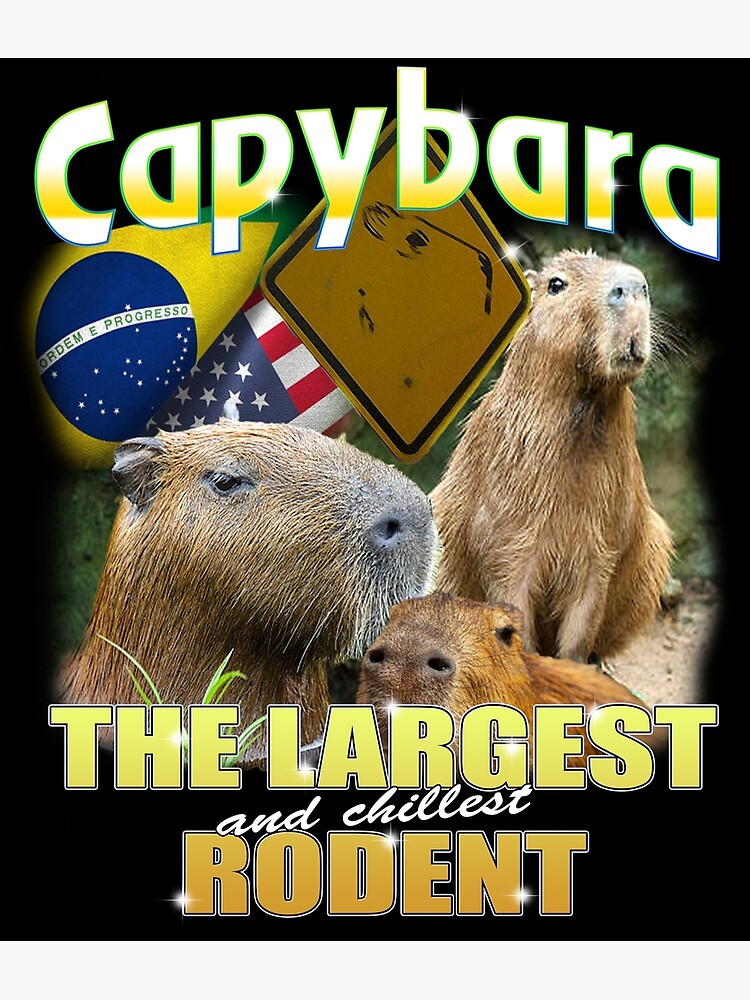 "Capybara 90's Rap Tee Design" Poster for Sale by michaelpn1 | Redbubble