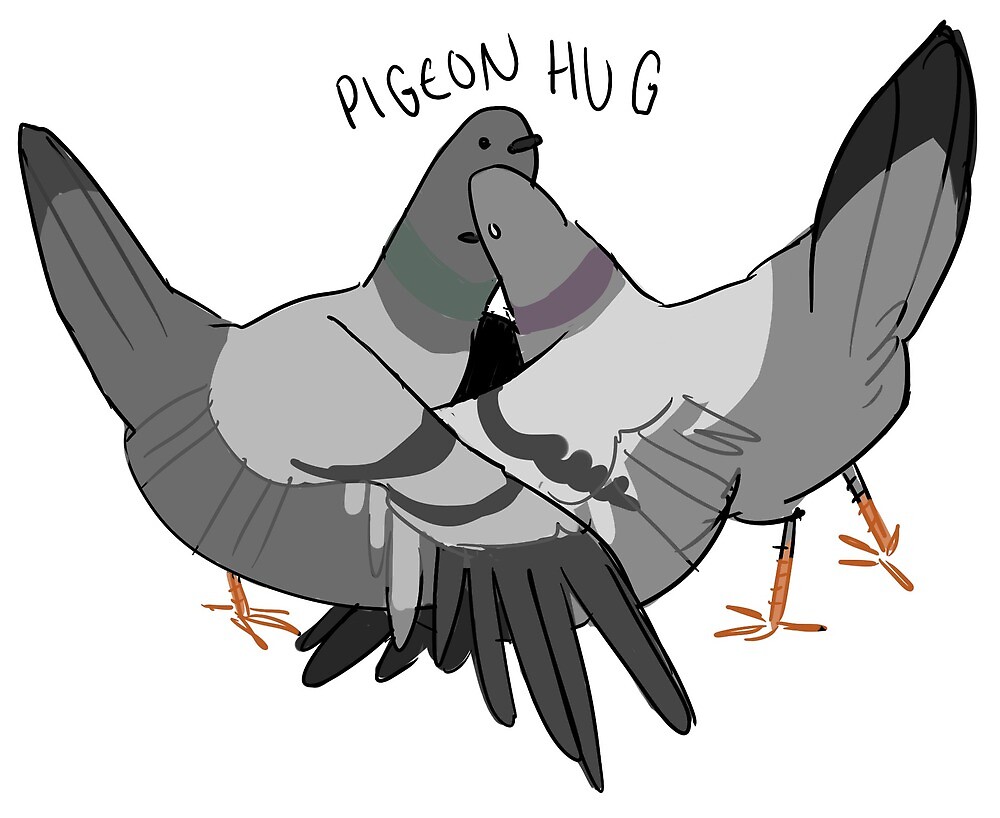 "pigeon hug" by notmusa | Redbubble