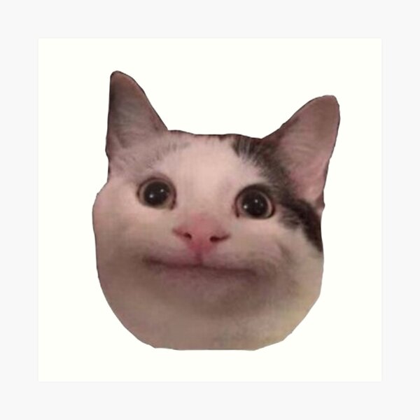 "Cute Smiling Beluga Cat" Art Print for Sale by gleamdesigns | Redbubble