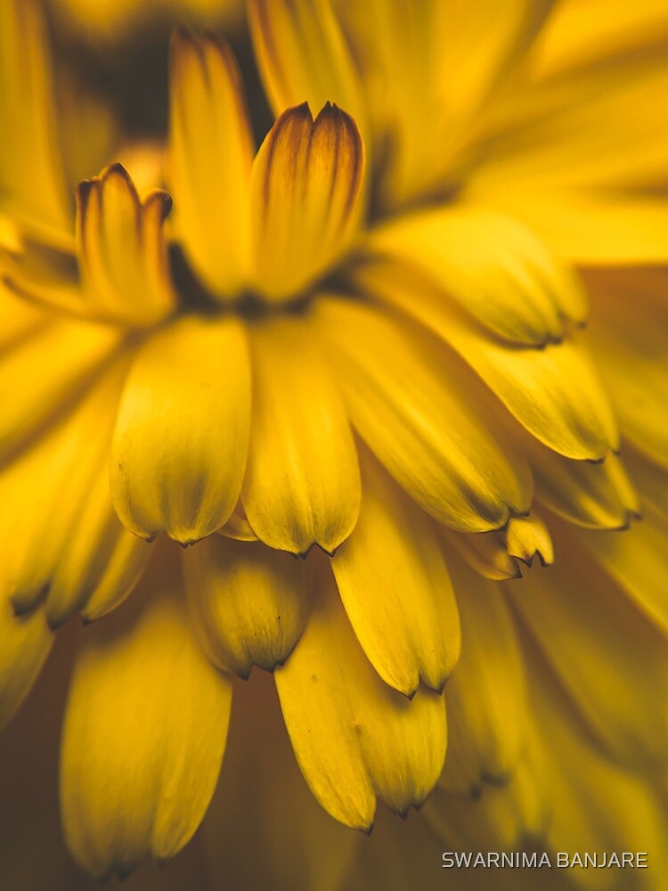 "marigold" Poster for Sale by Duft | Redbubble