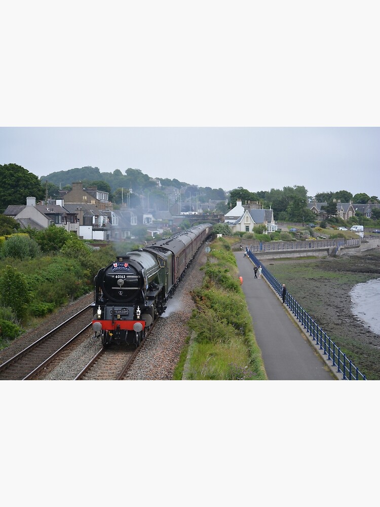 "Dundonian Discovery" Poster for Sale by adamzawadzki | Redbubble