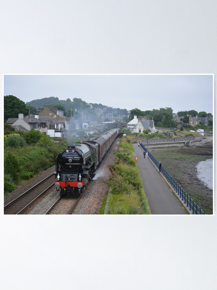 "Dundonian Discovery" Poster for Sale by adamzawadzki | Redbubble