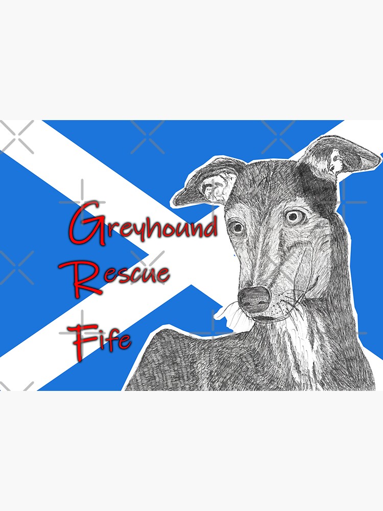 "Saltire Pup GRF (Greyhound Rescue Fife)" Sticker by HideyHole | Redbubble