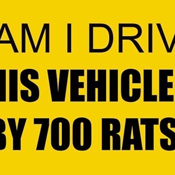"RATS - Bumper Sticker" Sticker for Sale by FroggyGod | Redbubble