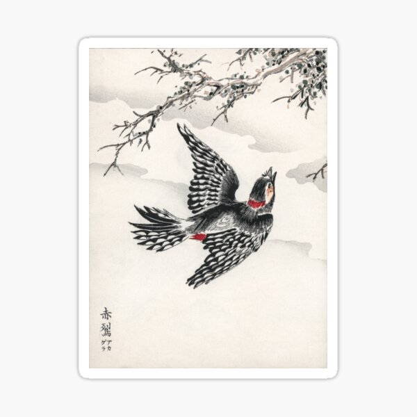 "Hondo Great Spotted Woodpecker illustration from Pictorial Monograph ...