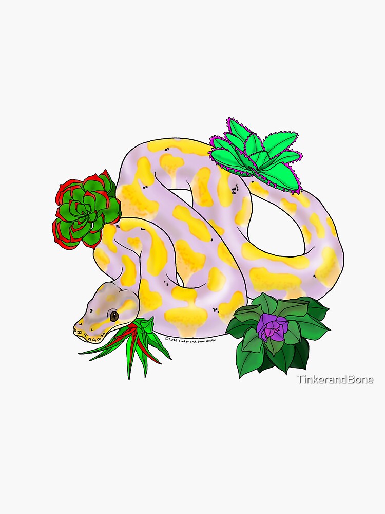 "Banana Ball Python" Sticker for Sale by TinkerandBone | Redbubble