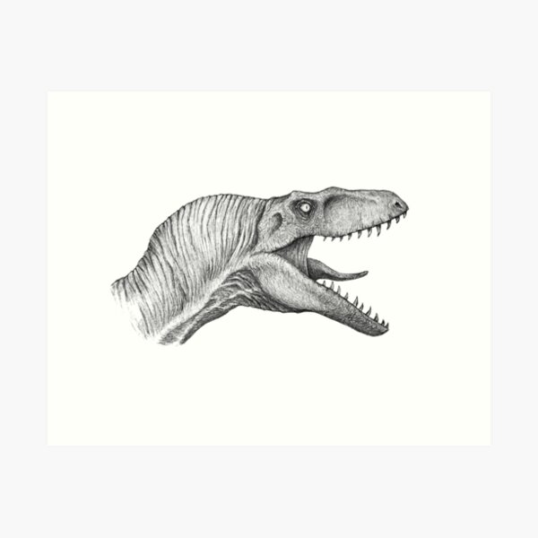Dinosaur Velociraptor Claw Original Premium Graphite Sketch Art Piece ...