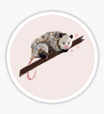 Possum: Stickers | Redbubble