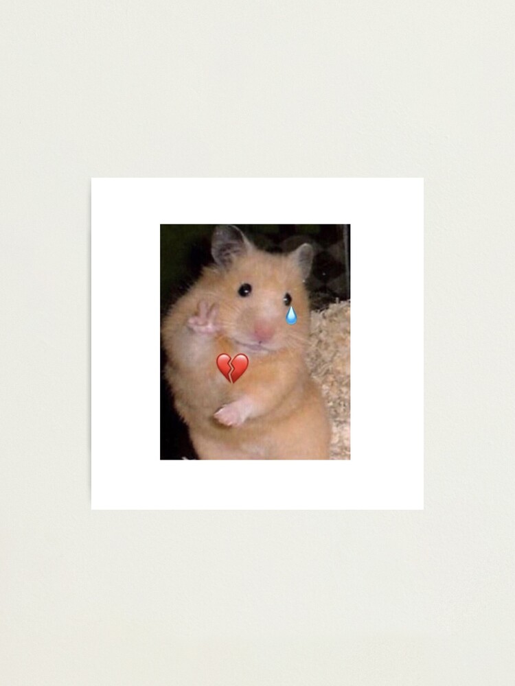 "Sad Hamster Meme " Photographic Print for Sale by GeKrayr | Redbubble