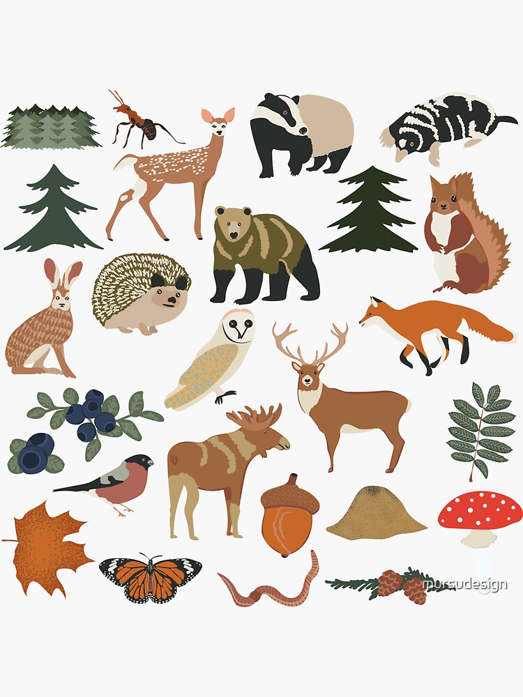 "STICKER SET, 26 PCS, Forest animals, woodland animal themed sticker ...