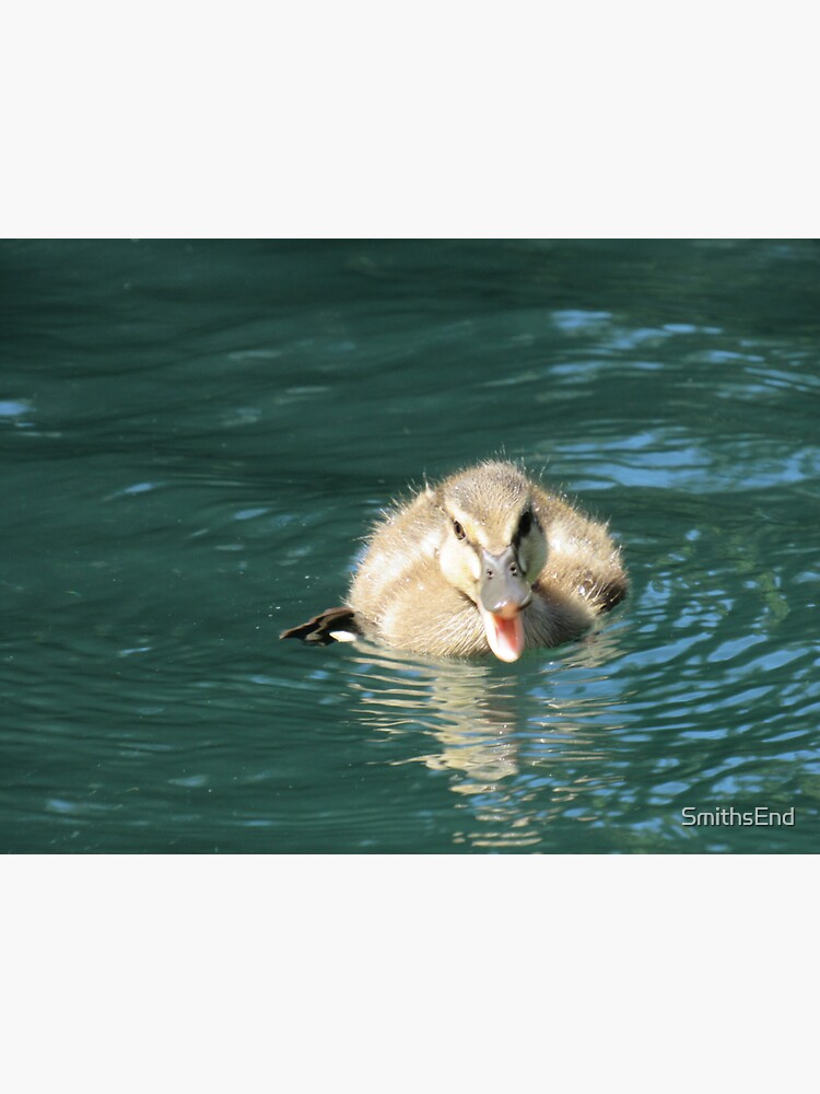 "Quack The Ducky" Sticker for Sale by SmithsEnd | Redbubble
