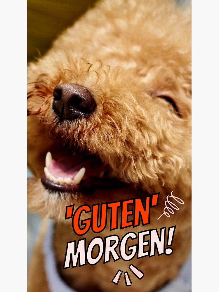 "Guten morgen" Sticker for Sale by Mariusloveyou | Redbubble