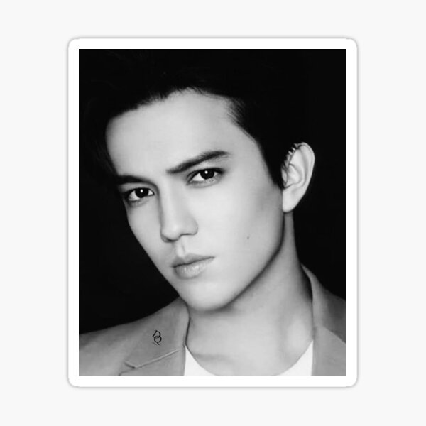 "Dimash Kudaibergen Singer Songwriter from Kazakhstan World's Best ...