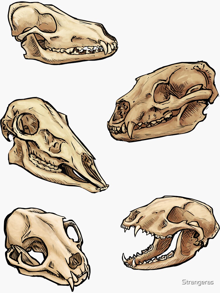 "animal skull stickers" Sticker for Sale by Strangeras | Redbubble