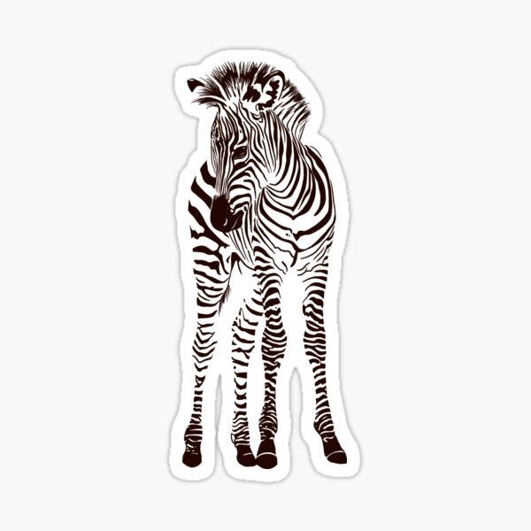 "Confused Zebra Foal" Sticker by TamZim-Art | Redbubble
