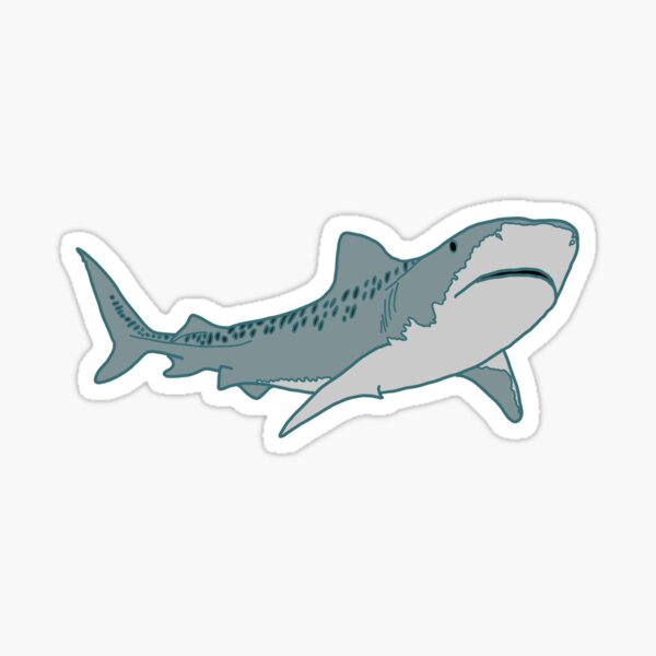 "Tiger shark" Sticker for Sale by TheNewAmericana | Redbubble