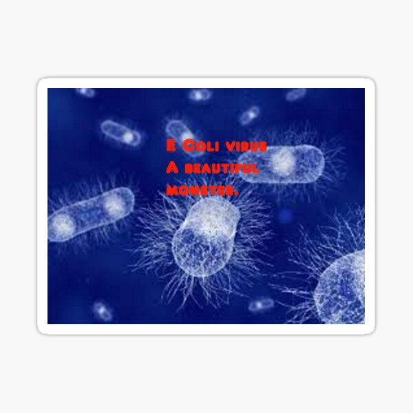 "E coli magnified" Sticker for Sale by simbatron | Redbubble