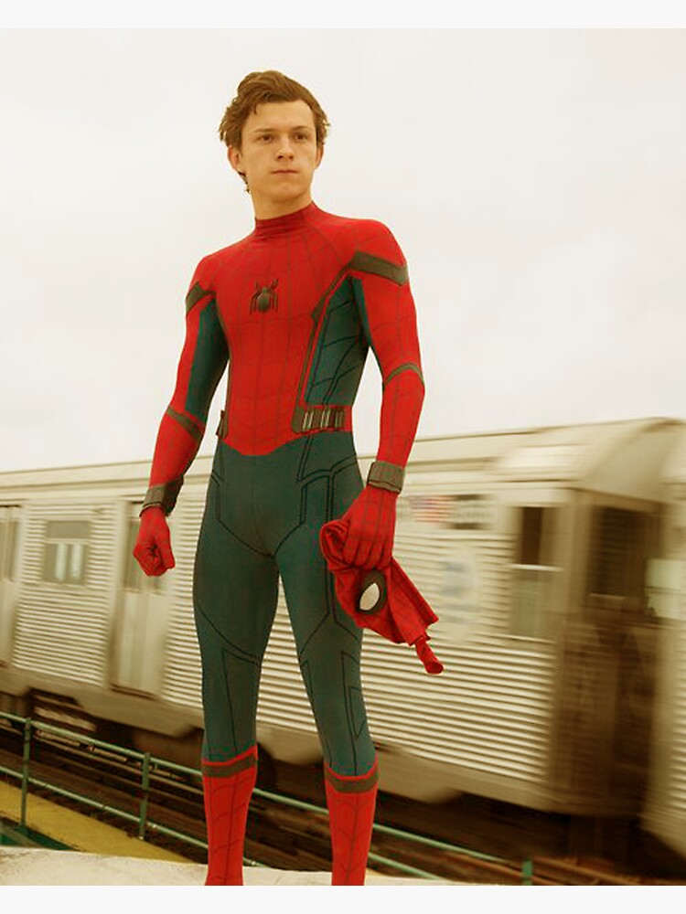 "Spider Train" Sticker for Sale by rusto1 | Redbubble