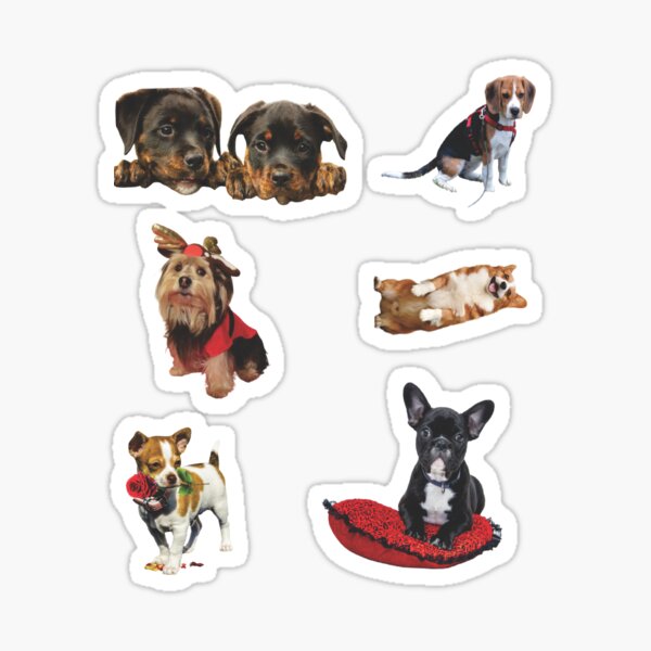 "Dog Driving A Car" Sticker for Sale by RICHARDRIVERS | Redbubble