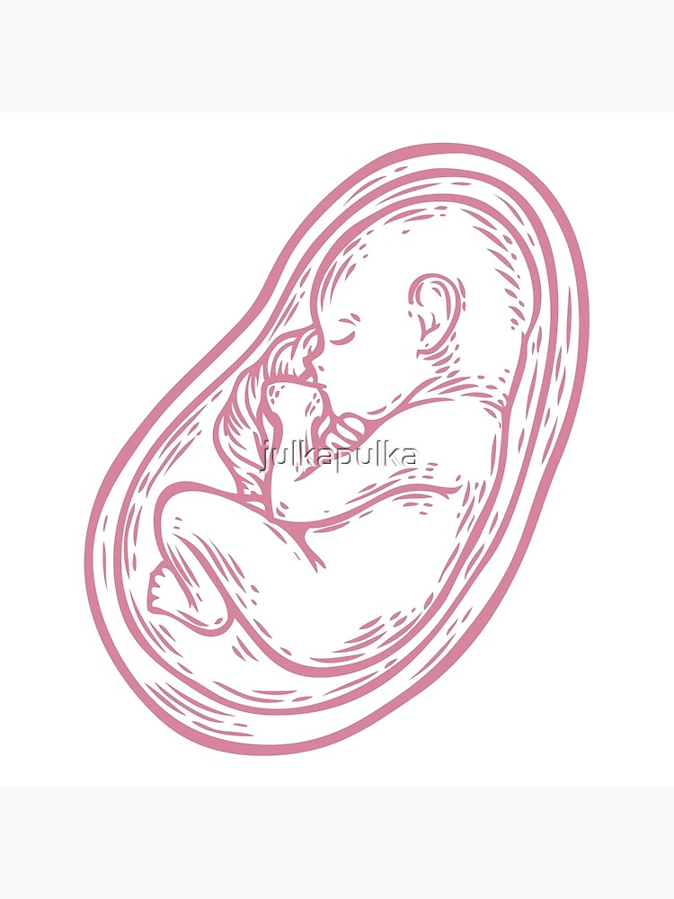 "Human fetus concept hand drawn vector illustration prenatal growing ...