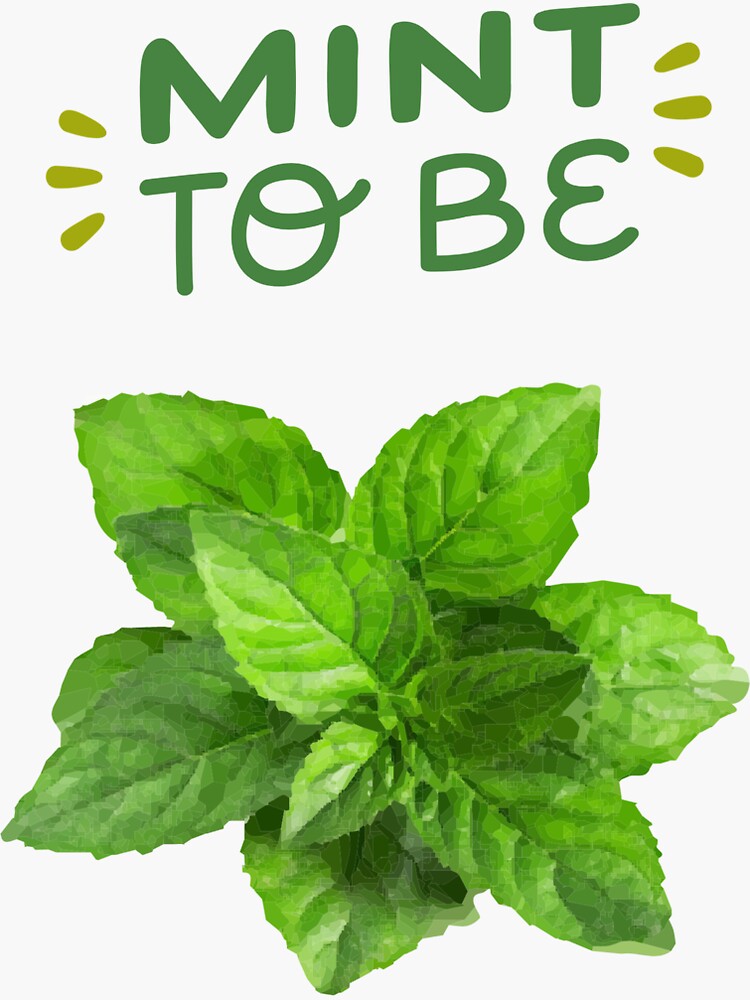 "Encourage Mint Motivation Peppermint" Sticker for Sale by Misdior ...