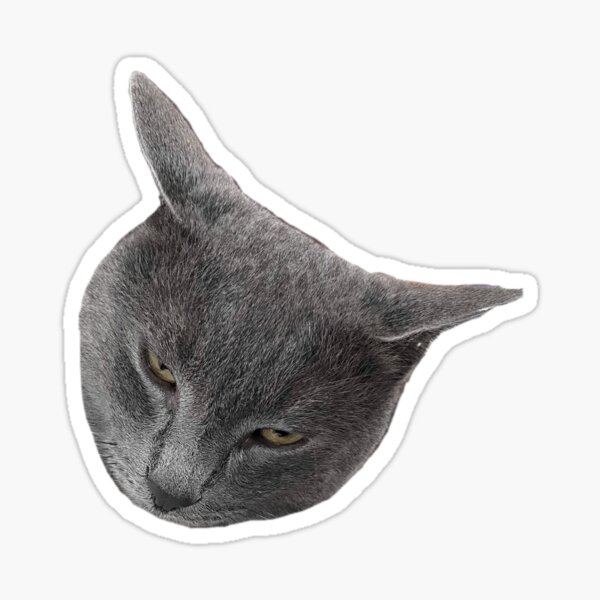 "Funny cat face" Sticker by louisamika | Redbubble