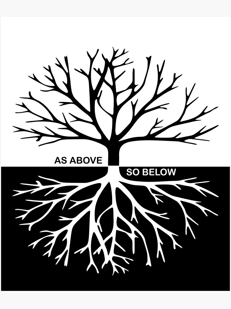 "As Above So Below Harmony Tree" Poster for Sale by PaulJChapman ...