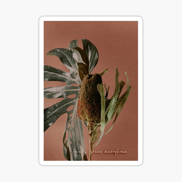 "cute green microphone, leaf and fruit,photo" Sticker by alinashu ...