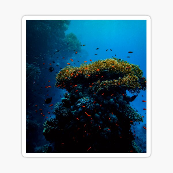 "Sea ocean deep underwater blue fish" Sticker for Sale by JD369 | Redbubble