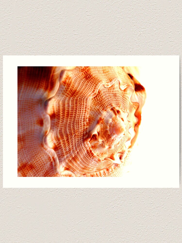 "shelly" Art Print for Sale by terezadelpilar | Redbubble