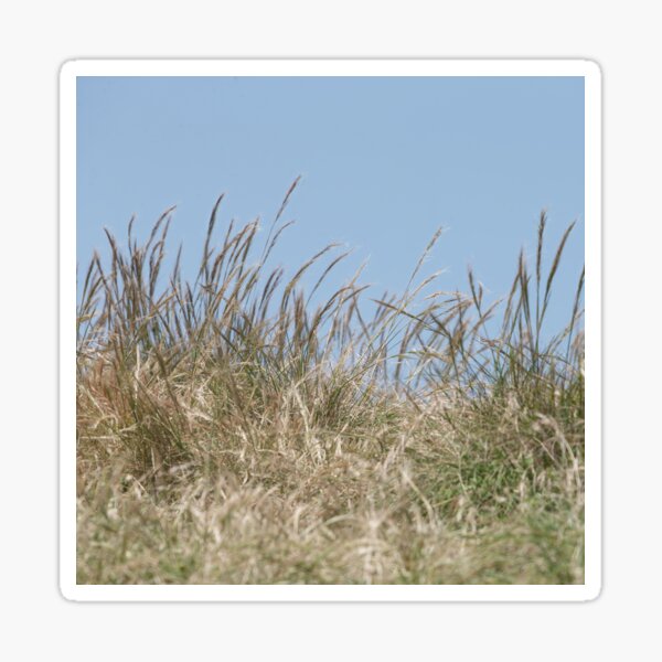 "Grasses 01" Sticker for Sale by GaryParnell | Redbubble