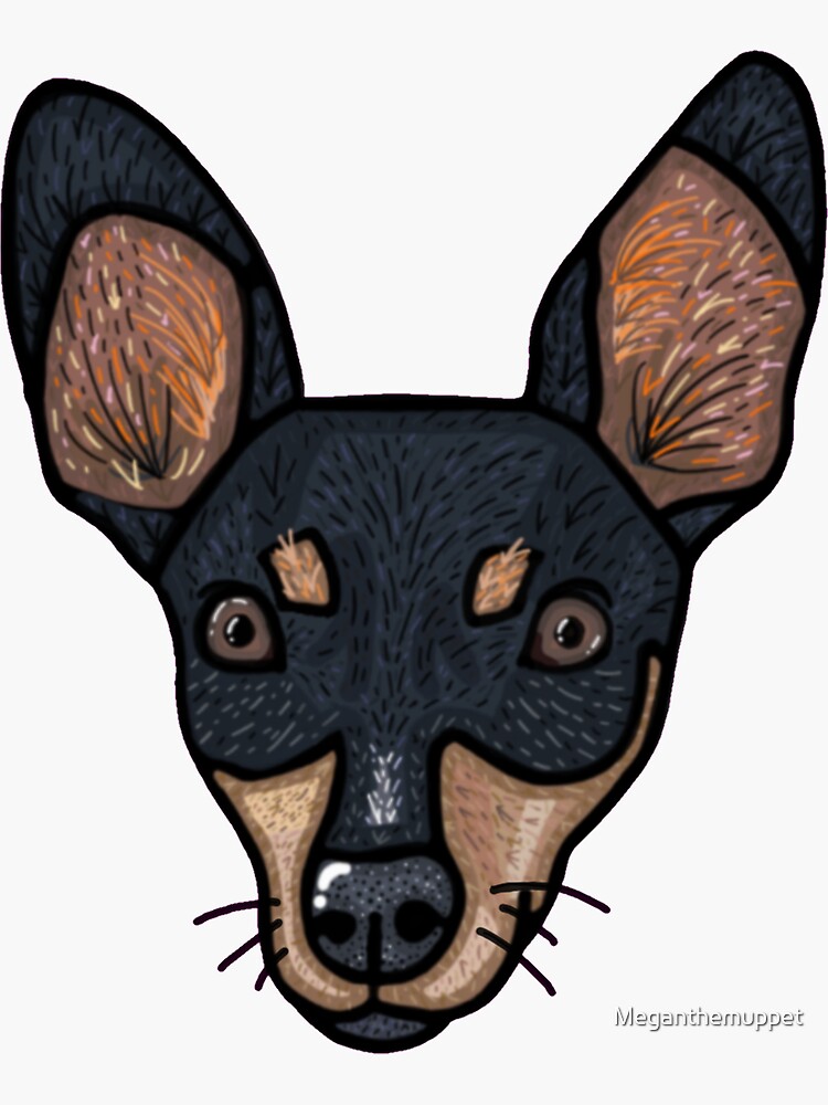 "chiweenie!" Sticker by Meganthemuppet | Redbubble