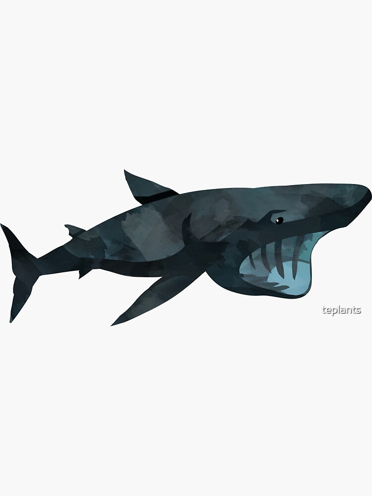 "Basking Shark" Sticker by teplants | Redbubble