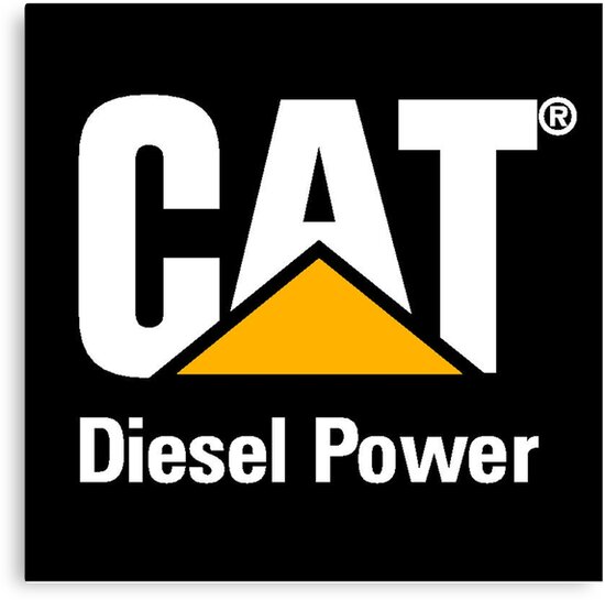 "Cat Diesel Power" Canvas Prints by Jarrod Gerke | Redbubble