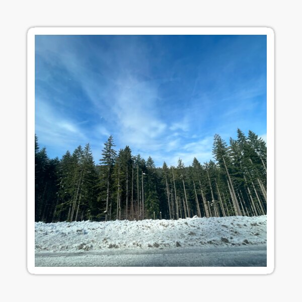 "Oregon (22)" Sticker for Sale by CncptulCaptures | Redbubble