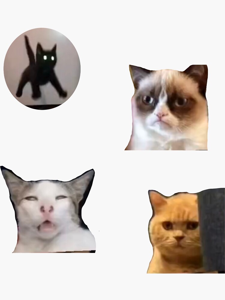 "Cat meme sticker pack" Sticker by briannaday5 | Redbubble