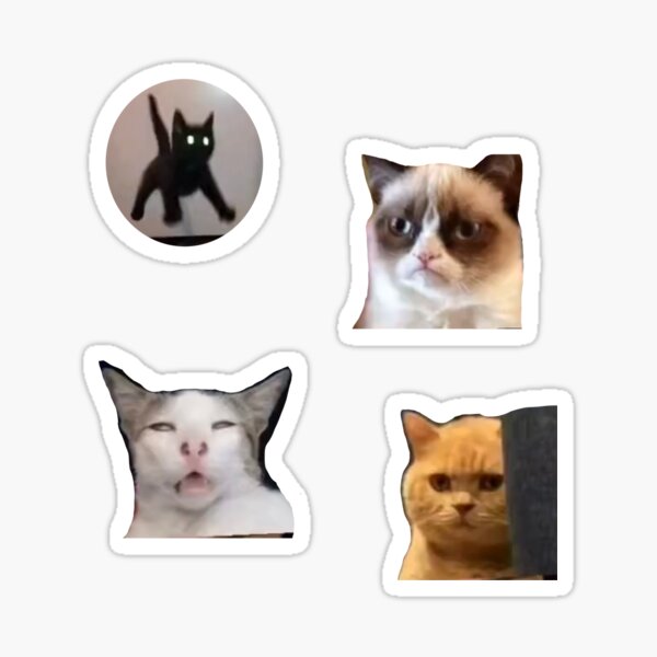 "Cat meme sticker pack" Sticker by briannaday5 | Redbubble