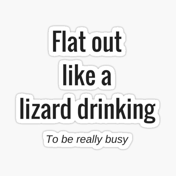 "Flat out like a lizard drinking | Aussie Slang" Sticker by sparksey ...