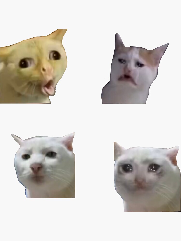 "Cat meme sticker pack" Sticker by briannaday5 | Redbubble
