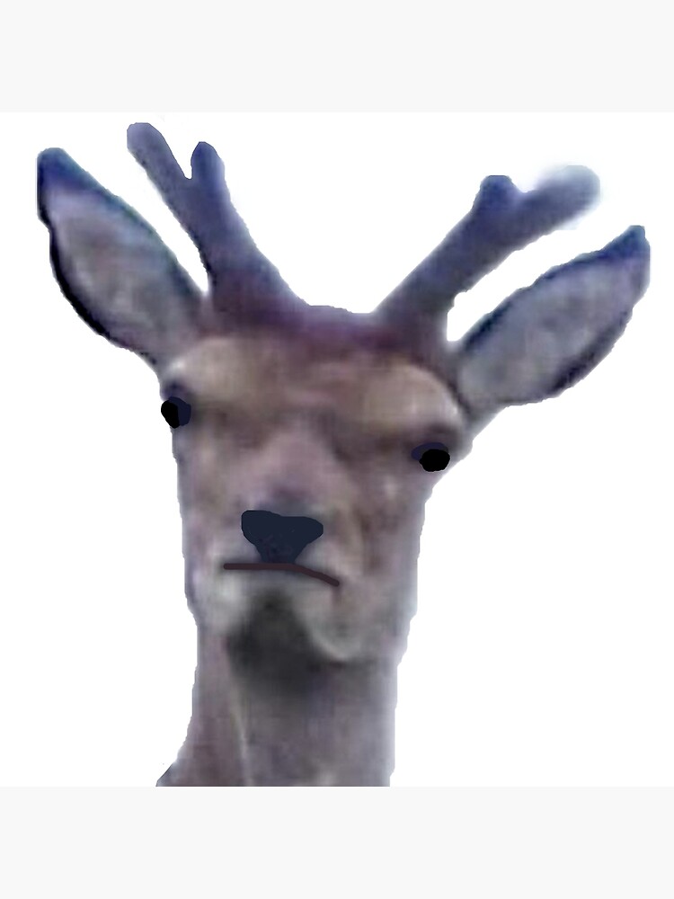 Angry Deer Memes