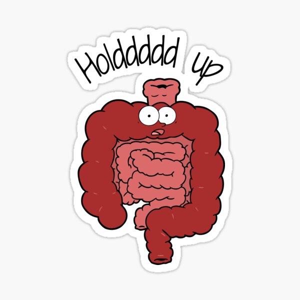 "Holdddd Up - Funny Large/Small Intestine" Sticker for Sale by Sci ...